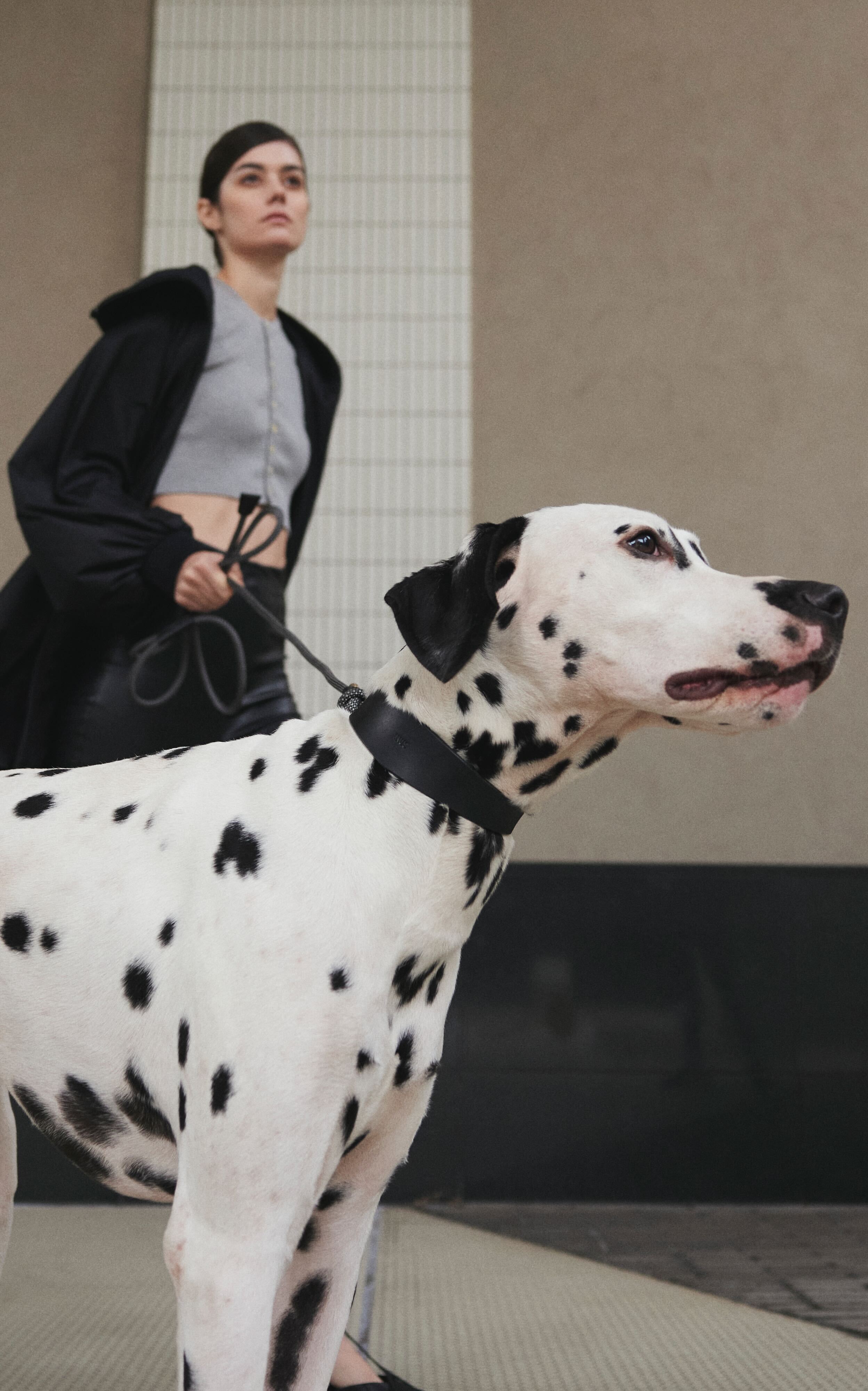 INUS | DRESS FOR INU＋US